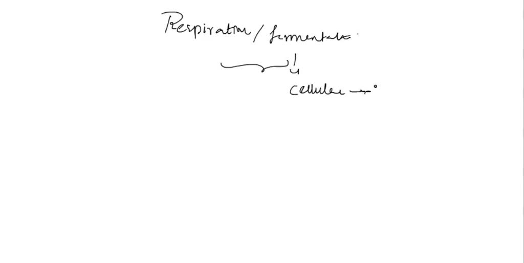 SOLVED: Compare and contrast the energy inputs and outputs of ...