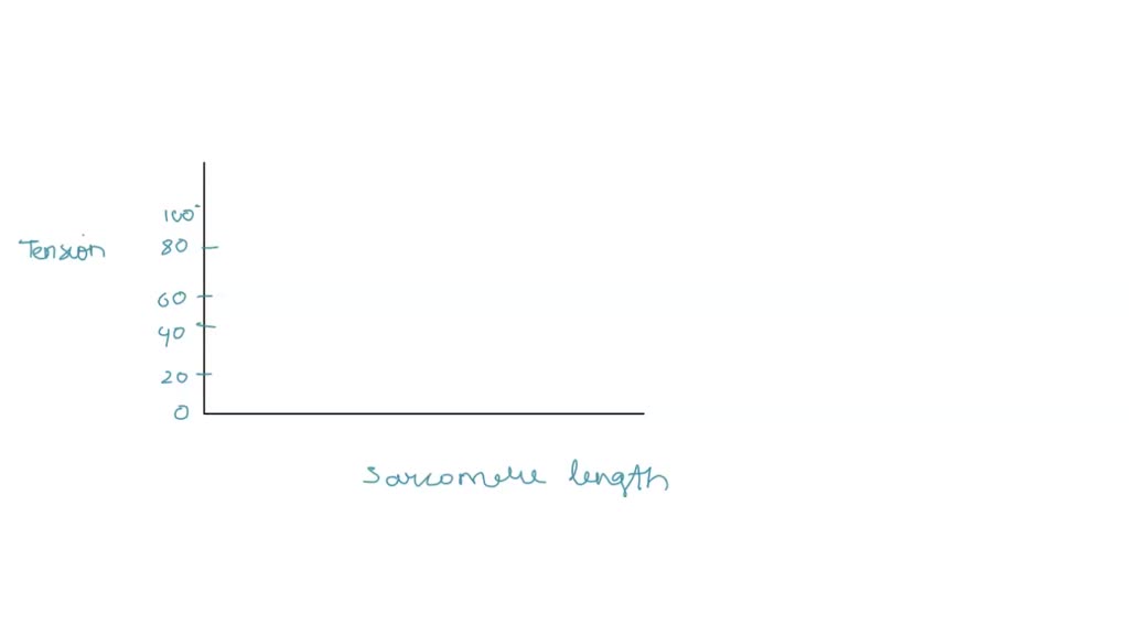 SOLVED: Record your data here: Isometric Contractions Muscle length (mm ...