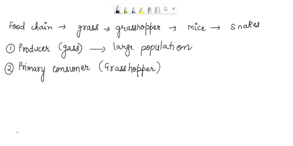 SOLVED: Describe the relative numbers of producers, primary consumers ...