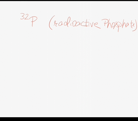 If 32p labeled radioactive phosphate inorganic phosphate...