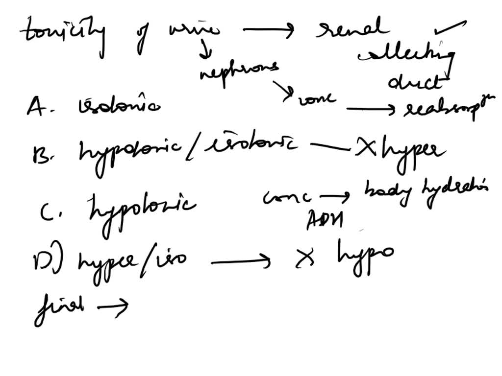 SOLVED: The tonicity of the urine as it enters the renal collecting ...