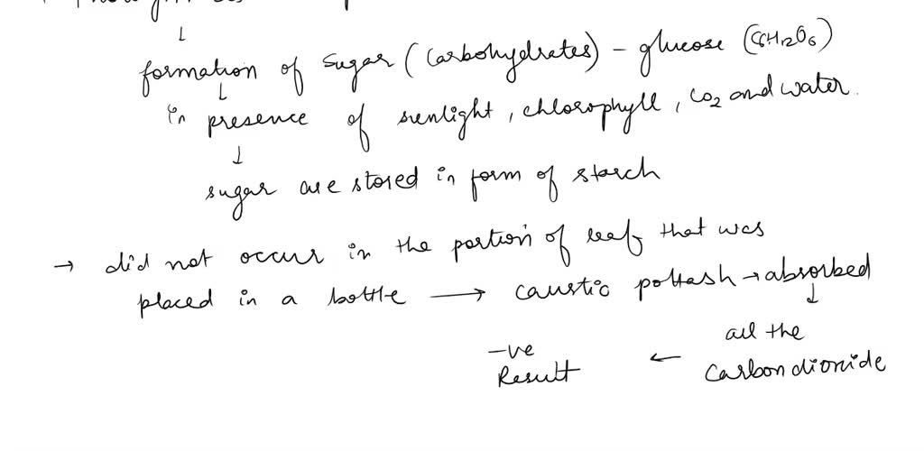 E. A student sets up an experiment to study the photosynthesis in ...
