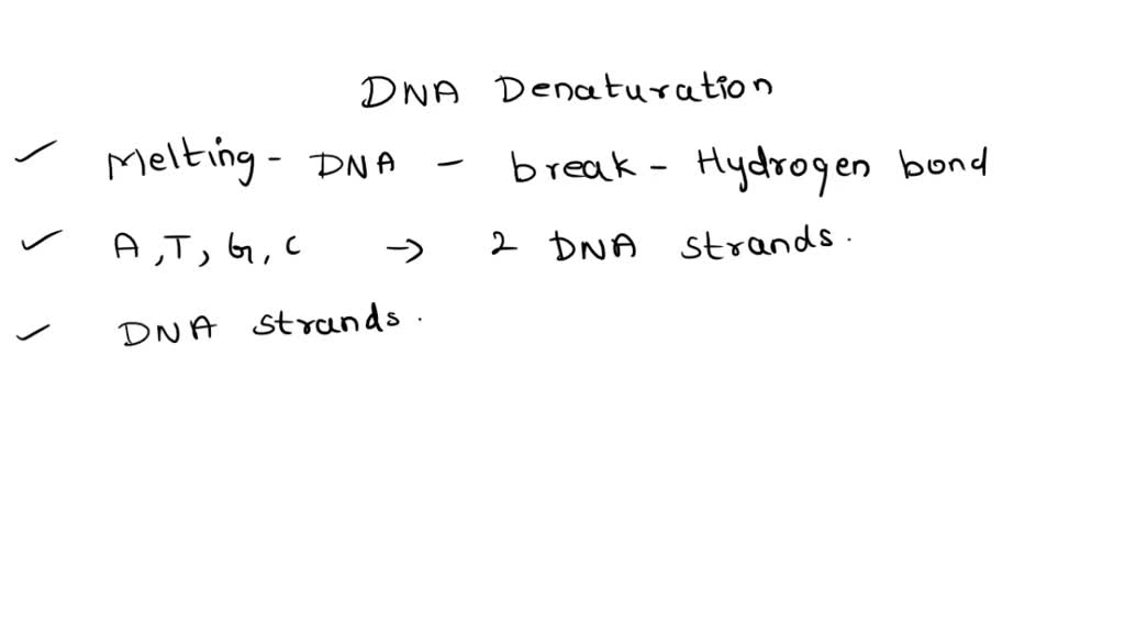 SOLVED: If a solution of DNA is heated, denaturation occurs. What ...
