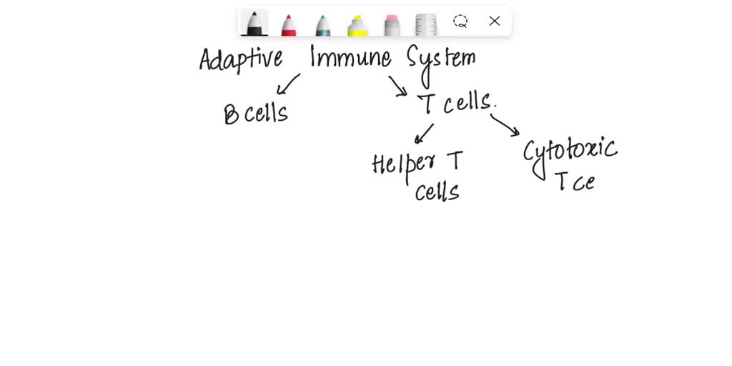 SOLVED: Texts: Describe components of the immune system by completing ...