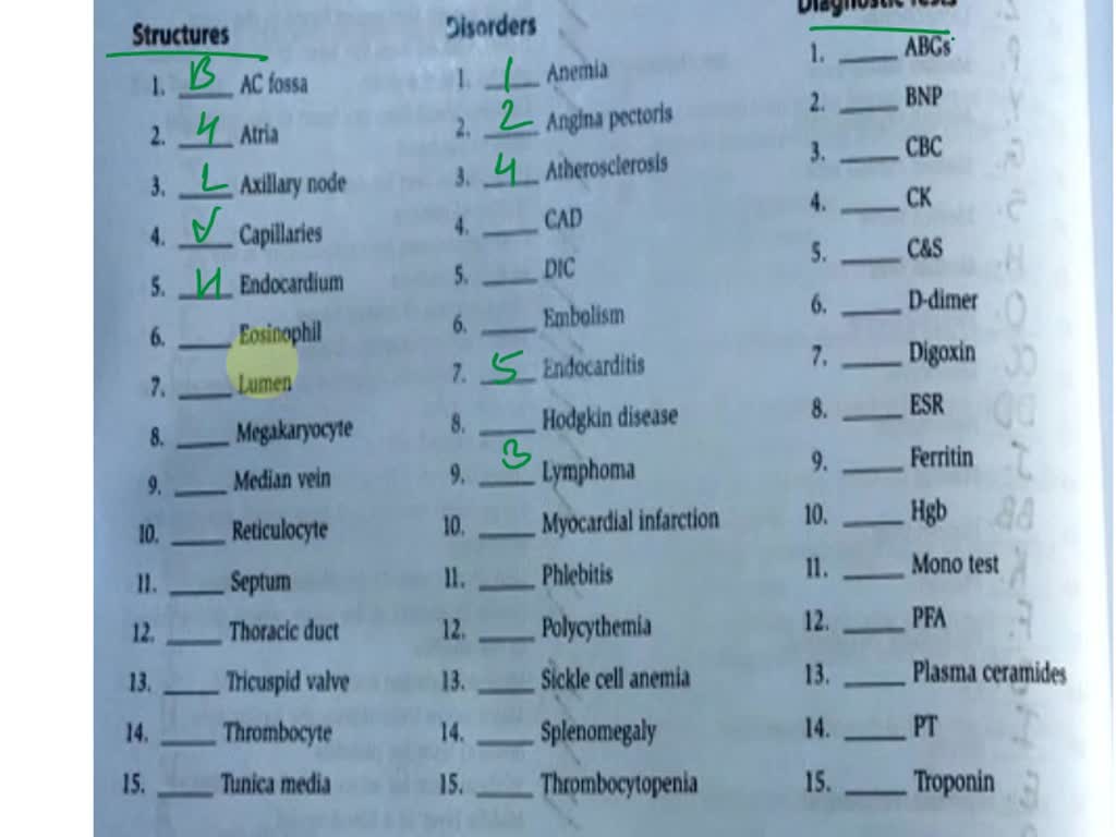 MATCHING 6-2: CIRCULATORY SYSTEM STRUCTURES, DISORDERS, AND DIAGNOSTIC ...