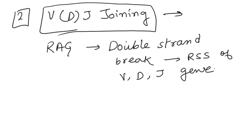 SOLVED: V, D, J gene segments are required to generate Heavy chain ...