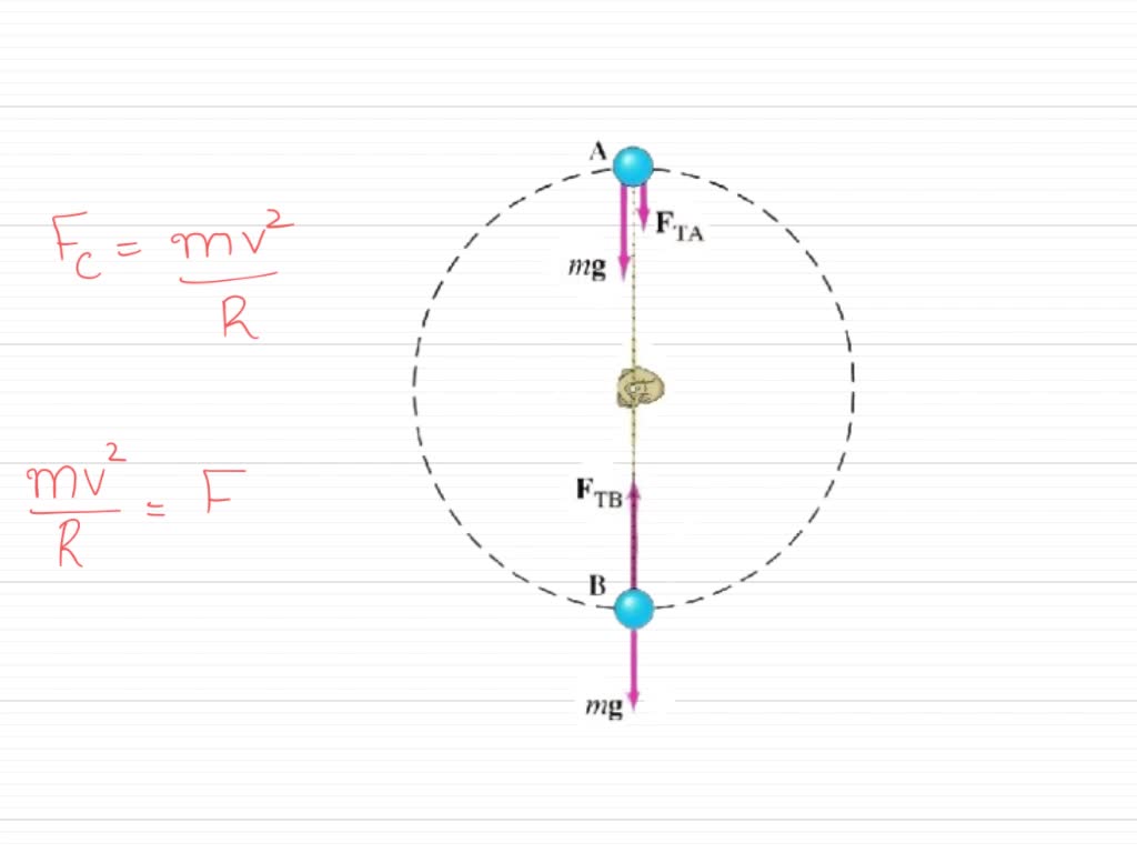 SOLVED: What are the forces acting on a ball that is being swung in a ...