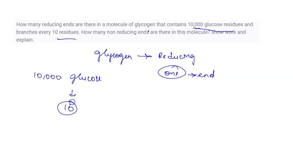SOLVED: How many reducing ends are present in a molecule of glycogen ...