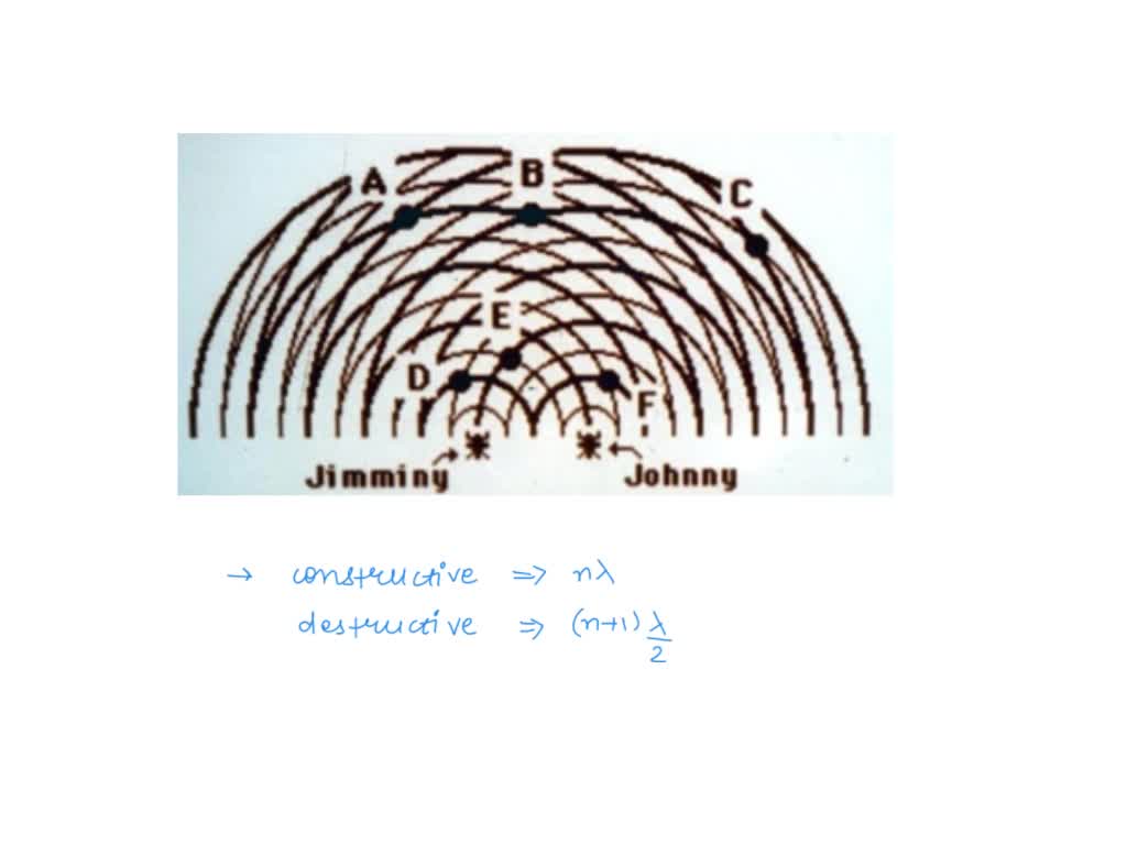 SOLVED: Two water bugs are creating a series of circular waves by ...