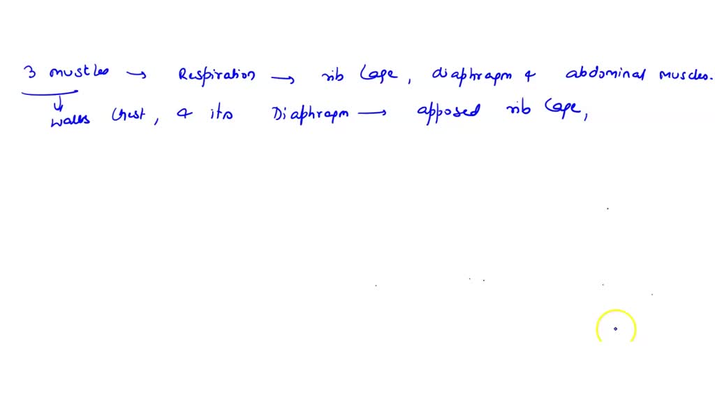 SOLVED: The relaxation period on a myogram represents decreasing muscle ...