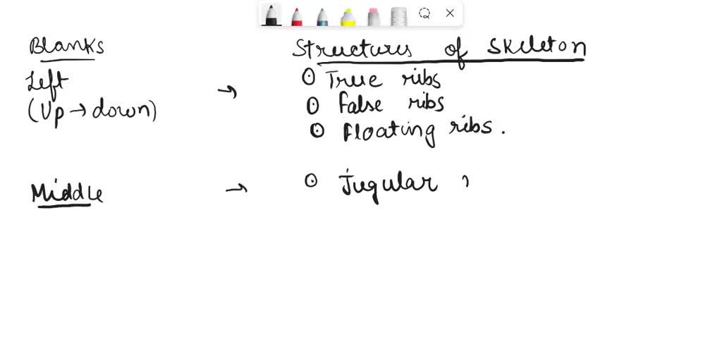 SOLVED: Drag the appropriate labels to their respective targets. Costal ...