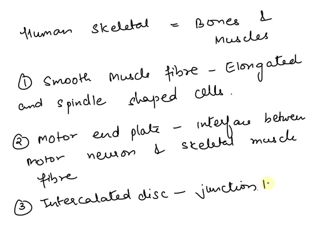 SOLVED: Which structure is highlighted (highlighted in yellow)? a. axon of motor nerve b. smooth ...