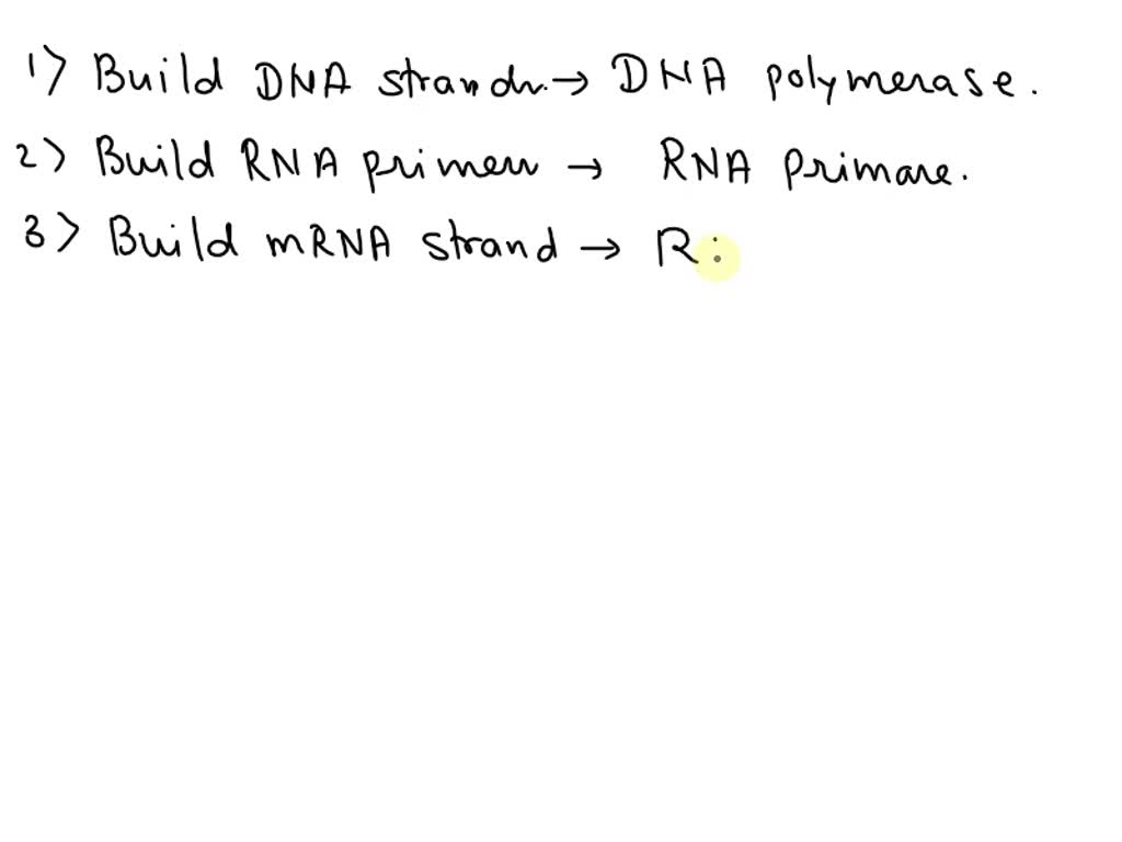 SOLVED: Match the following functions to each of the enzymes listed ...