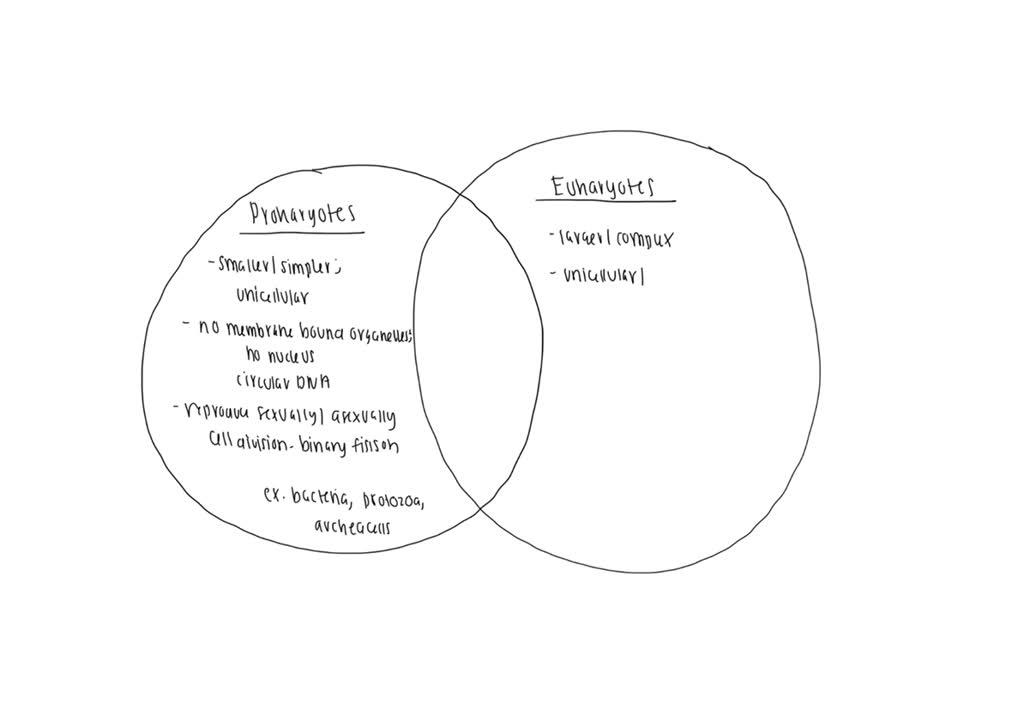 SOLVED: Create a handout to compare and contrast prokaryotic and eukaryotic cells. If you were ...