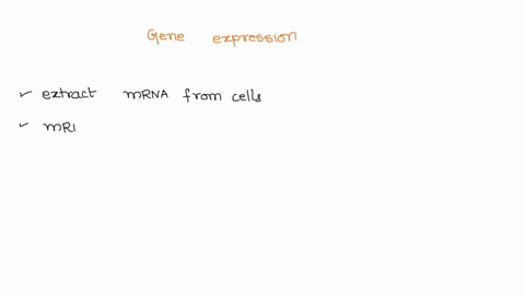 During the cloning of the pipe gene what was the order of...