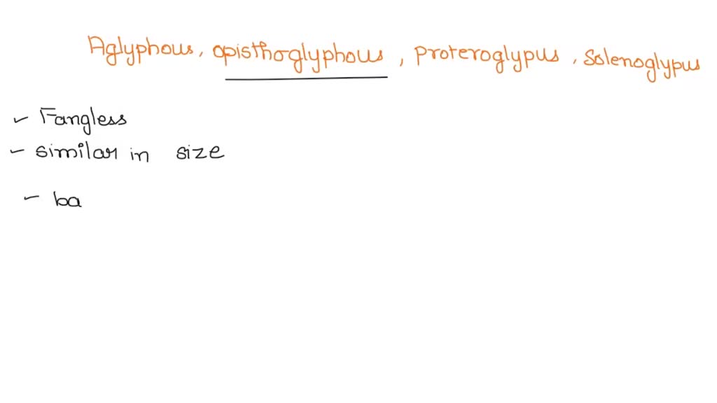 SOLVED: Explain the difference between aglyphous, opisthoglyphous ...