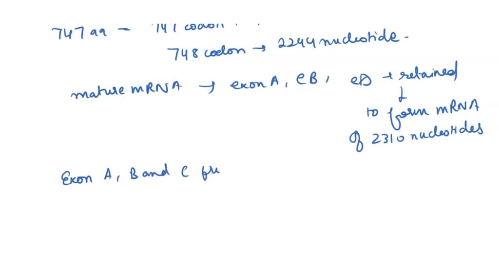 SOLVED: A specific gene is 5kb (5000 bases) long, including the ...