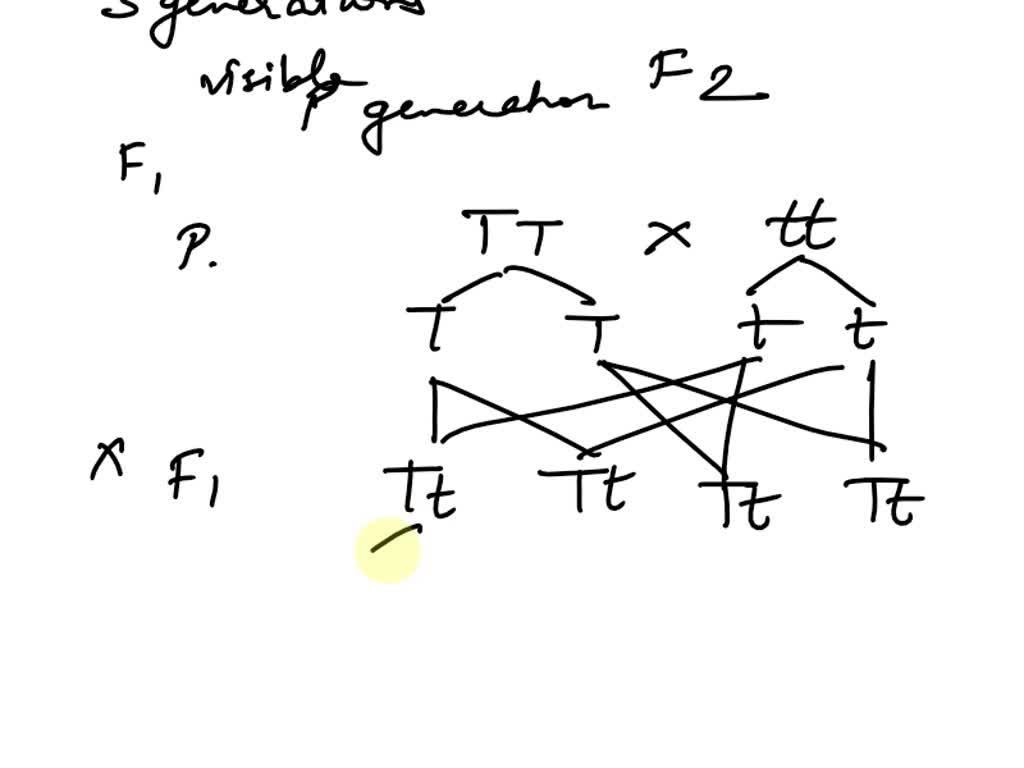 SOLVED: If Mendel had crossed a true breeding dominant plant with a true breeding recessive ...