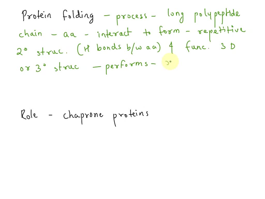 SOLVED: Q13. What are chaperone proteins? How do they function? Review ...