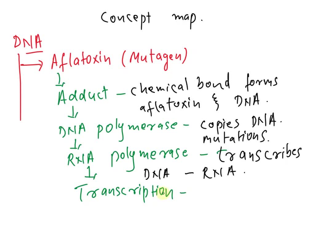 SOLVED: Word list for concept map Amino acids, Carrier proteins ...