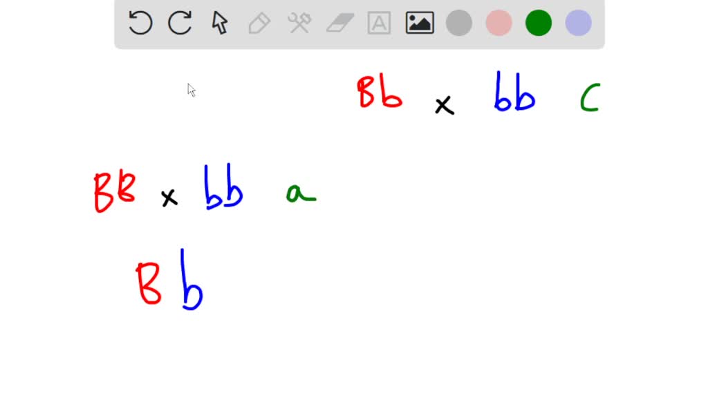 SOLVED: Question 44 Match the Morgan Symbols t0 thc descriptions ...