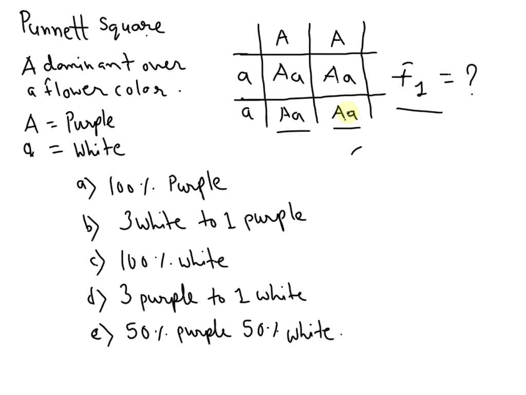 SOLVED: Use the Punnett square to answer the following question: In ...