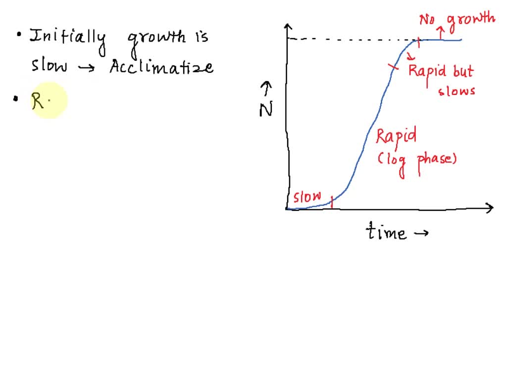 SOLVED Describe The Growth Of A Population That Follows A Typical solved-describe-the-growth-of-a-population-that-follows-a-typical