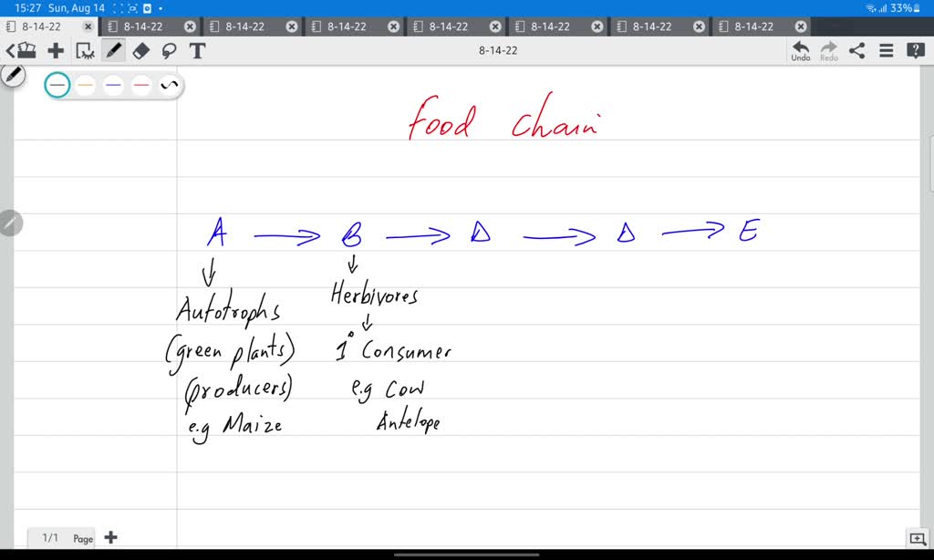 SOLVED: 'which of the following eat producer organisms in a food chain ...