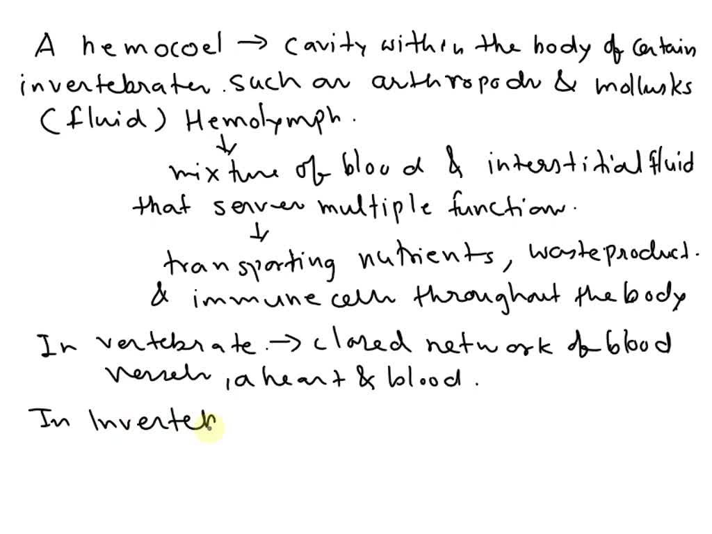 SOLVED: In what sense is a hemocoel part of the circulatory system?