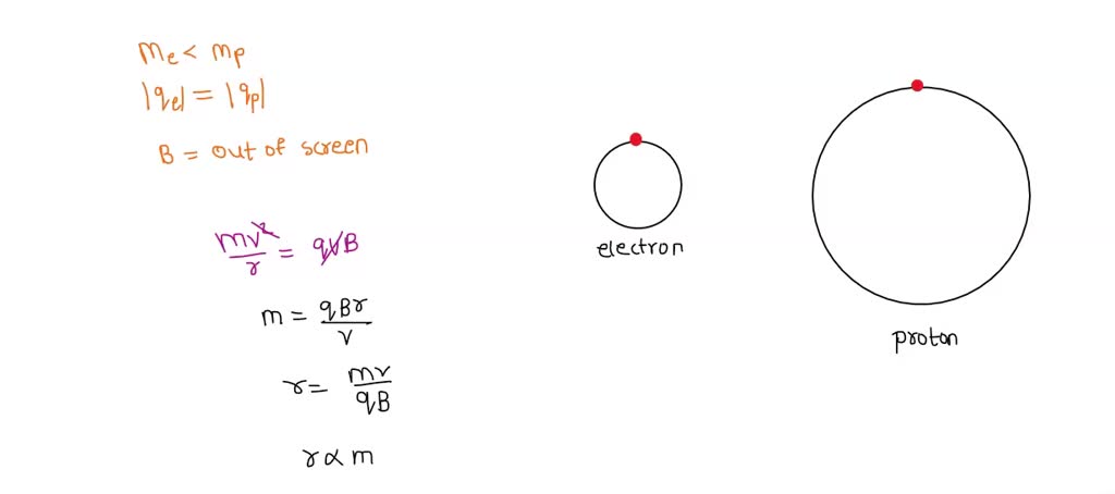SOLVED: The drawing shows the circular paths of an electron and a ...