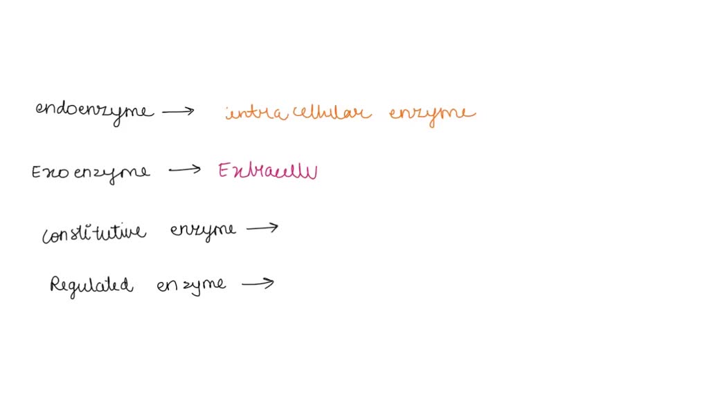 SOLVED: The difference between endoenzyme and exoenzyme, and ...