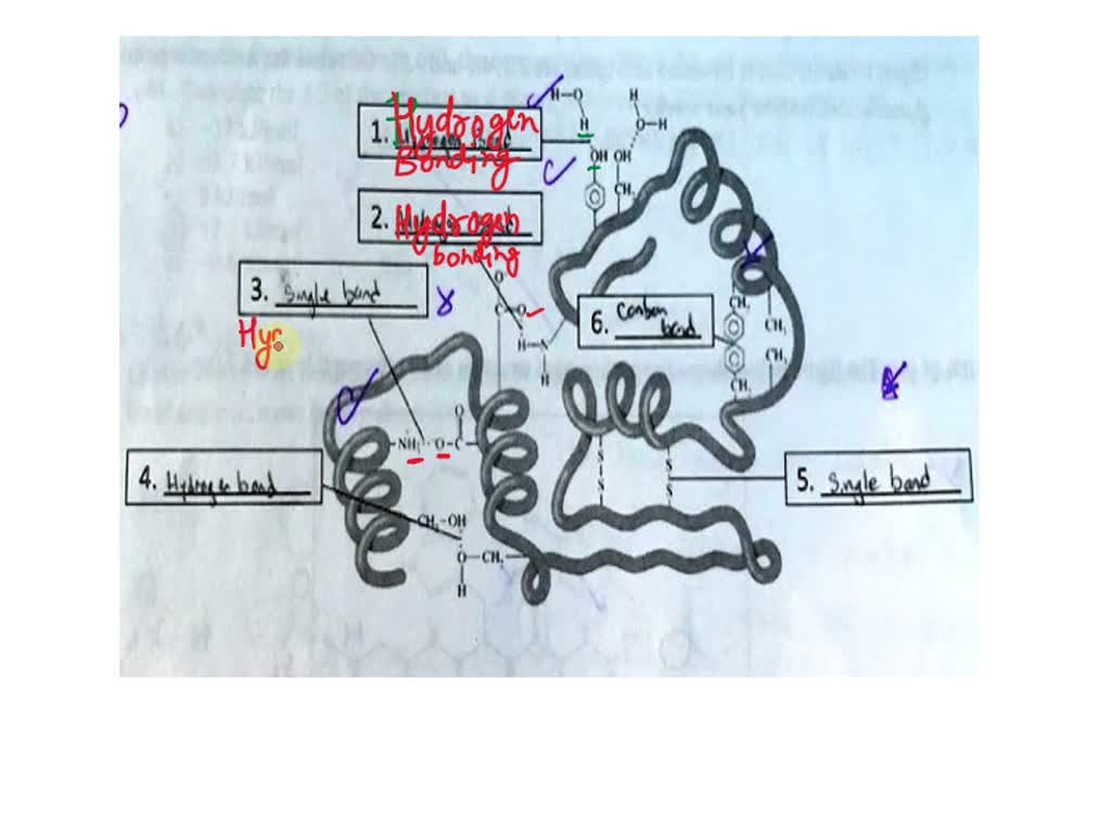 SOLVED: Text: (12 pts) Identify the different types of attractive ...