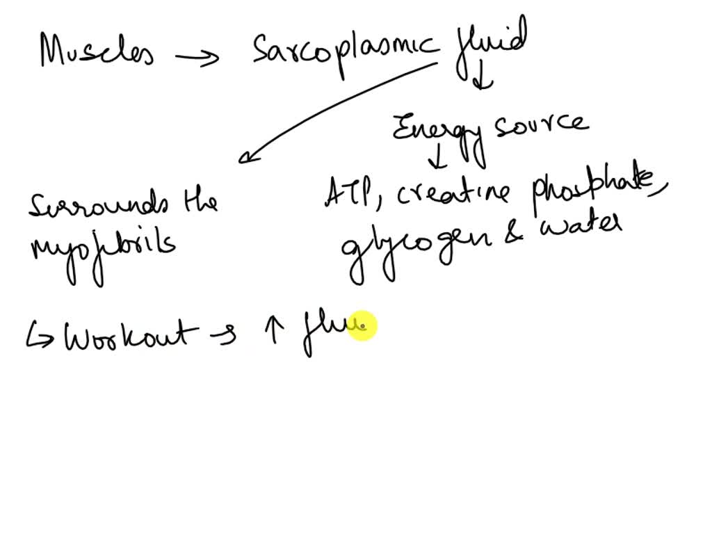 SOLVED: An increase in volume of glycogen and semifluid plasma is known ...