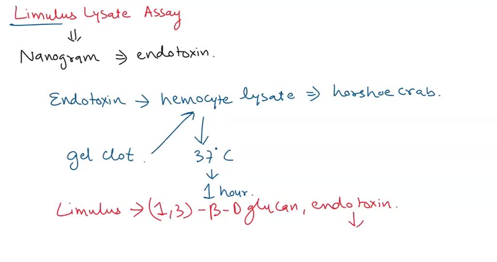 Solved What Is The Limulus Lysate Assay Limulus Amebocyte Lysate Lal And How Does It Work