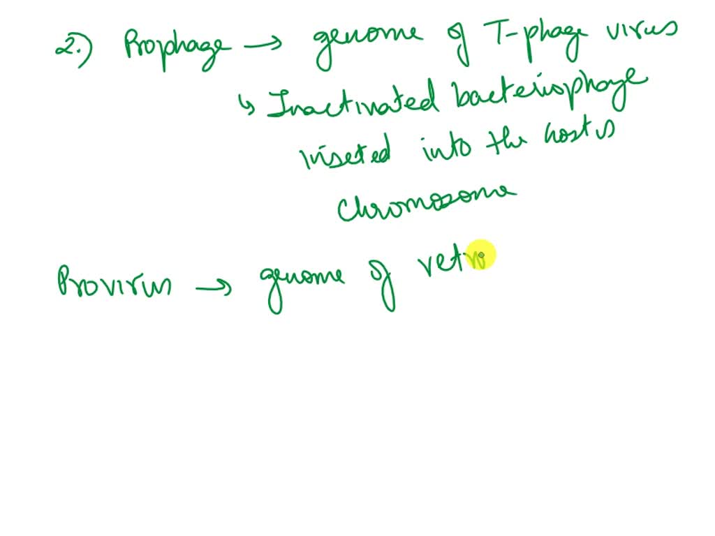 SOLVED: 3 part question: List the 6 types of nucleic acids that act as ...