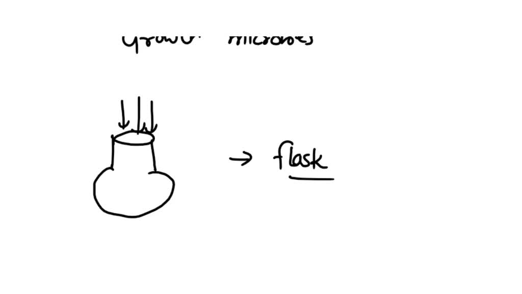 SOLVED: Pasteur's Experiment Which flask in Pasteur's experiment developed microbial growth?