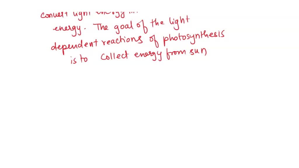 SOLVED: H2O, light reactions, ATP, O2, CO2, chloroplasts, chlorophyll ... SOLVED: H2O, light reactions, ATP, O2, CO2, chloroplasts, chlorophyll ...