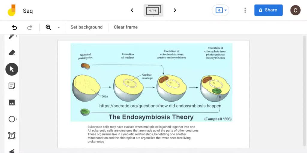 SOLVED: '2. Describe the evidence that supports the theory that ...