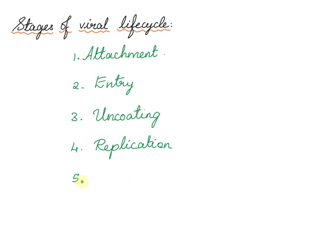 SOLVED: identify the various stages of the viral life cycle. at which ...