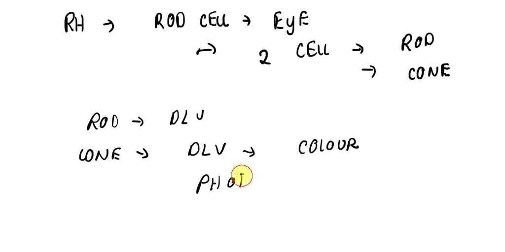 SOLVED: Rhodopsin is a light-sensitive receptor protein found in rod ...