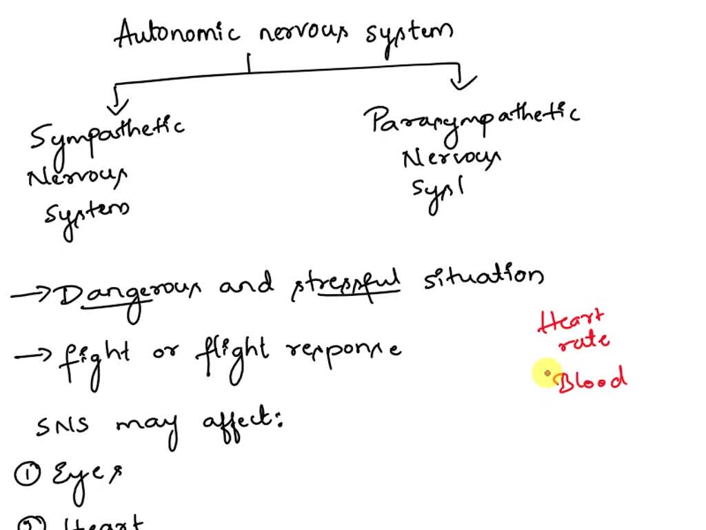 SOLVED: Explain the physiological changes that occur when the ...