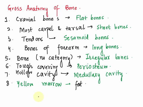 Lab 3 Skeletal I Laboratory Exercises A. Bone Markings: The...