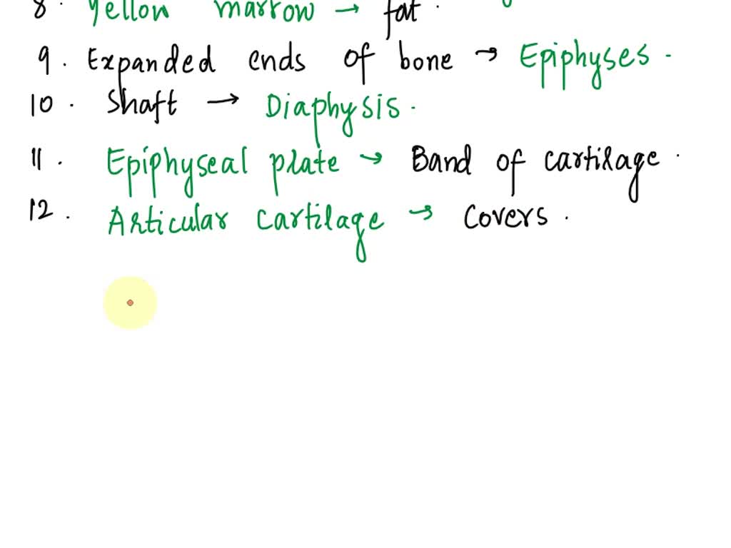 VIDEO solution: Lab 3 Skeletal I Laboratory Exercises A. Bone Markings ...