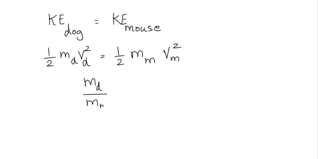 SOLVED: A dog and a mouse run down the road with the same kinetic ...
