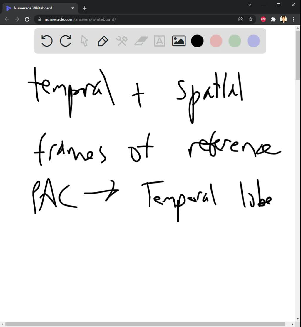 SOLVED: 51 Temporal lobe Interprets sensory impulses associated with ...