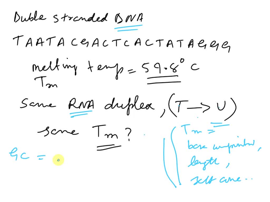 SOLVED: Denaturation of Nucleic Acids A duplex DNA oligonu-cleotide in ...
