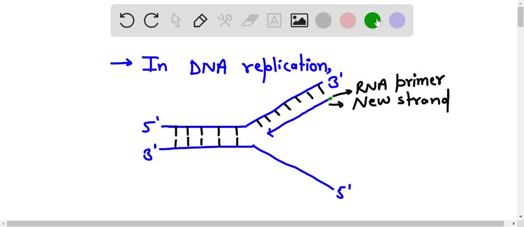 SOLVED: Use the template of a replication fork to draw arrows that represent both continuous and ...