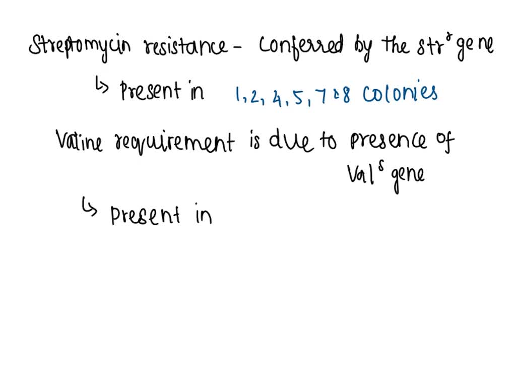 SOLVED: In the figure below, which colonies are streptomycin-resistant ...