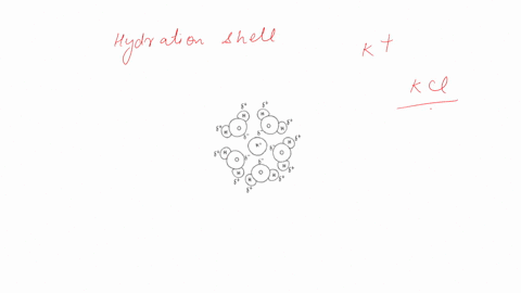 Draw the hydration shells that form around a potassium ion and a chloride ion when potassium ...