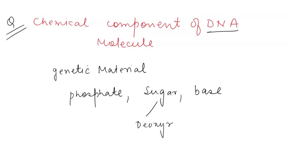 SOLVED: 'Question 3 (1 point) The monomers of proteins are ... SOLVED: 'Question 3 (1 point) The monomers of proteins are ...